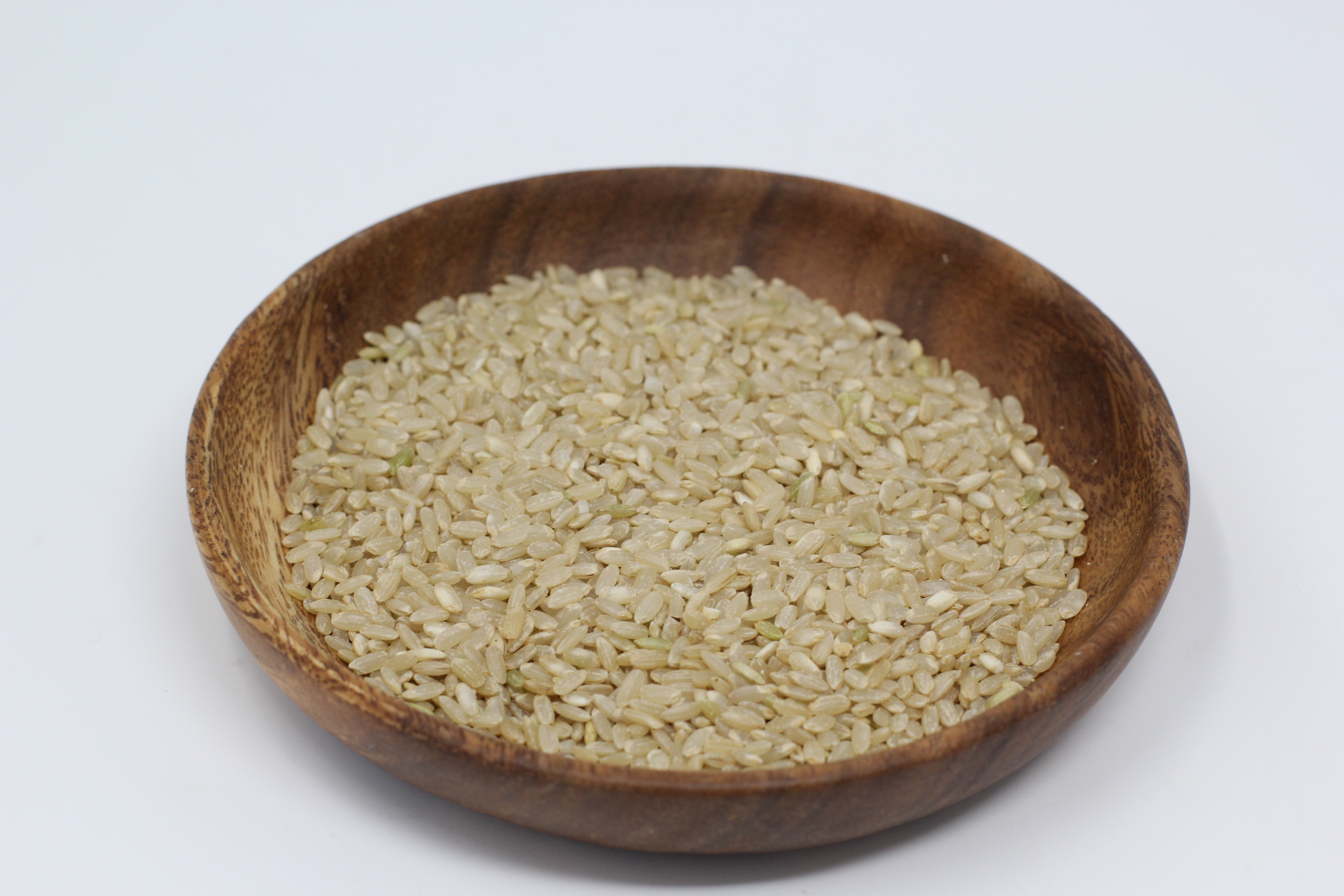 Sprouted Rice Explained