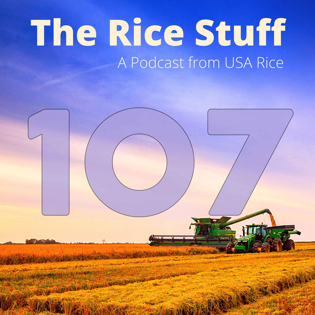 Tapping Into the Knowledge of 216 Rice Crops on The Rice Stuff | USA ...