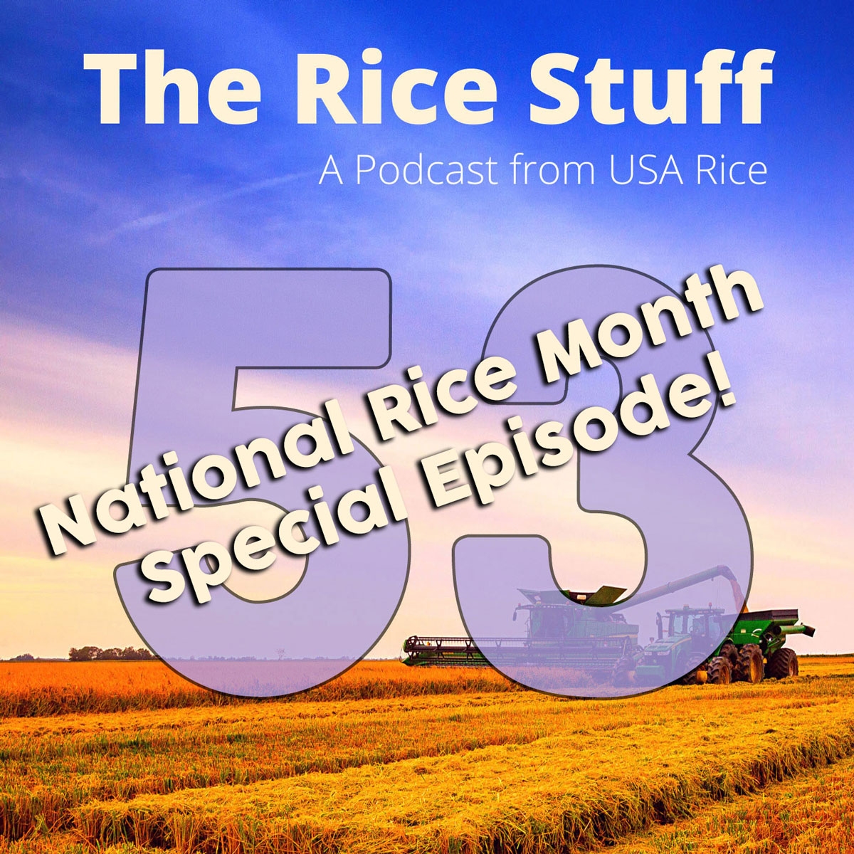 The Rice Stuff Podcast Tees Up National Rice Month | USA Rice Federation