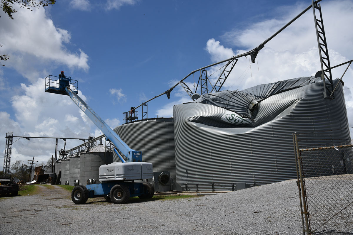 Final WHIP+ Payments On The Way | USA Rice Federation