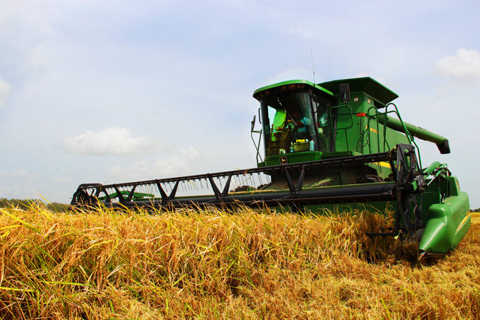 USA Rice Thankful for Farmer Economic Assistance in CR | USA Rice ...