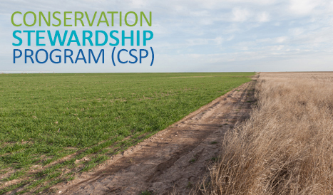 USDA Allowing Some One-Year CSP Extensions | USA Rice Federation