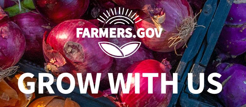 New Features Improve Delivery of USDA Tech Tools | USA Rice Federation