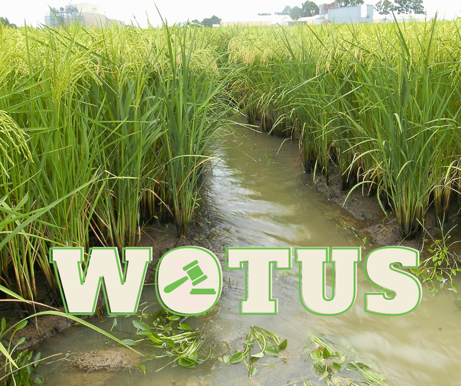 New WOTUS Rule on Hold for More Than Half of U.S. | USA Rice Federation