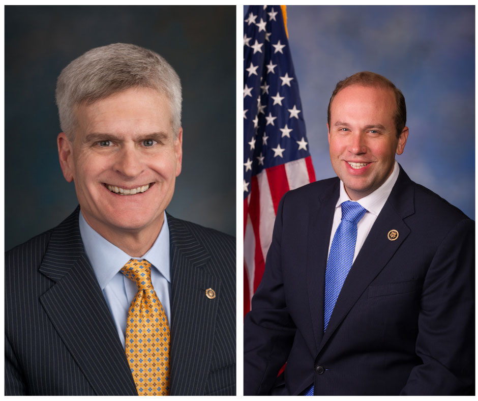 Congressional Trade Hearings Shine Spotlight on India’s Rice Subsidy ...