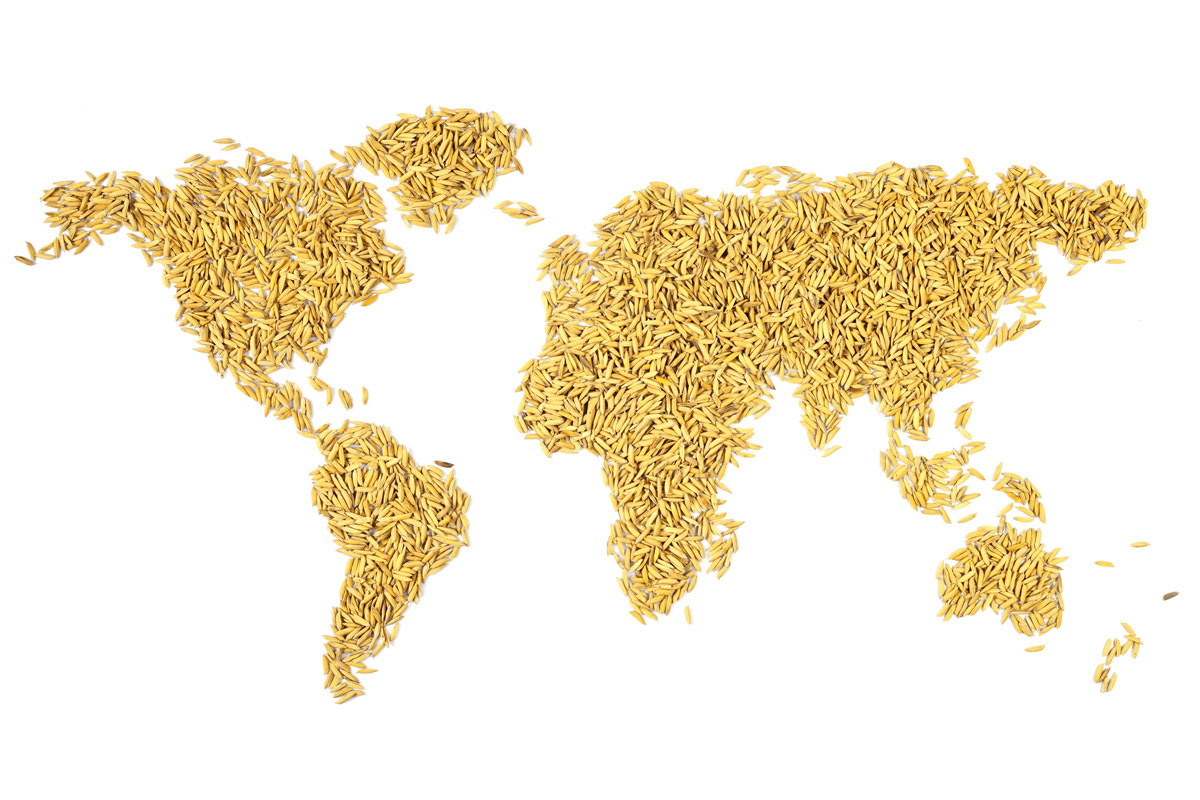 Planting Intentions, Trade, and Data Analysis Key Topics in Meeting ...