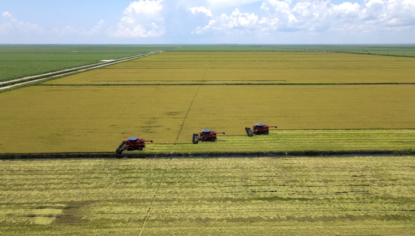 Ready, Set, Harvest … in the South | USA Rice Federation