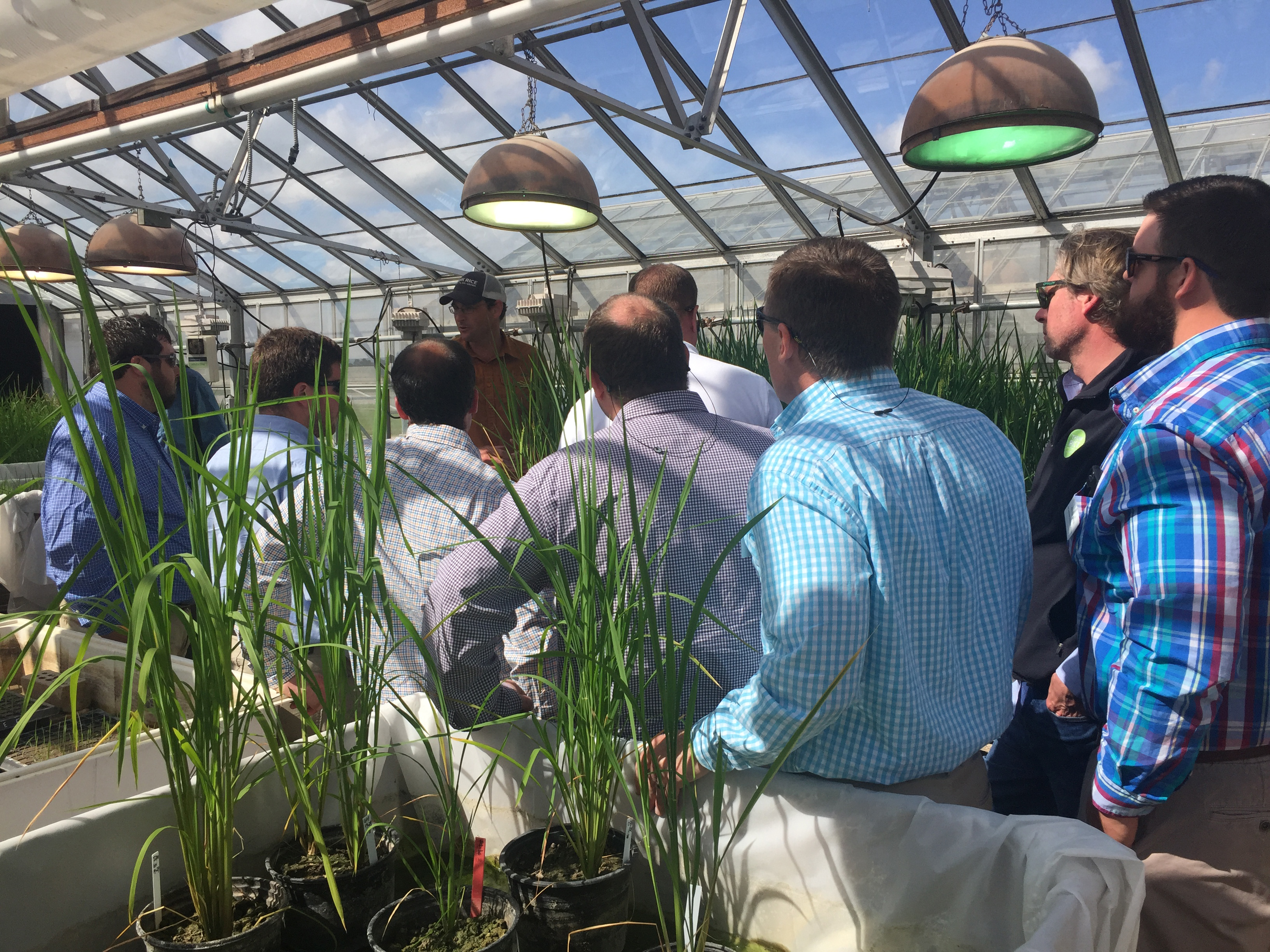 Rice Foundation Accepting Applications for 2020 Rice Leadership ...