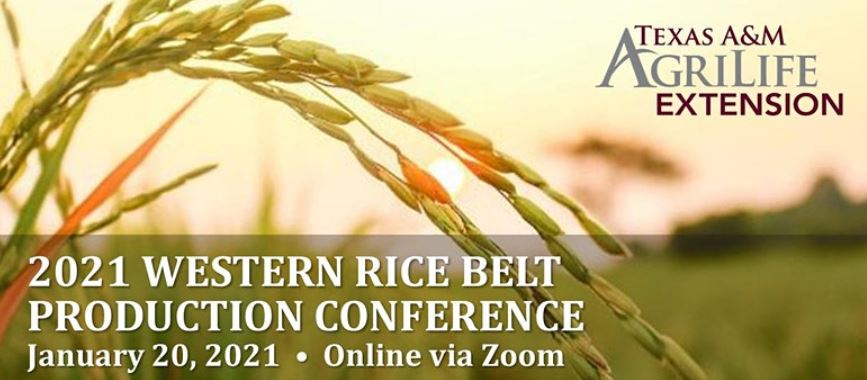 USA Rice Presents at 2021 Western Rice Belt Production Conference | USA ...