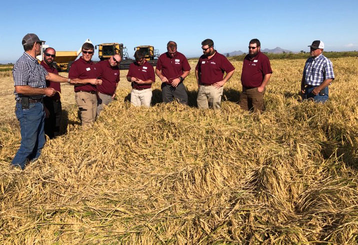 Rice Leadership Development Program Now Accepting Applications | USA ...