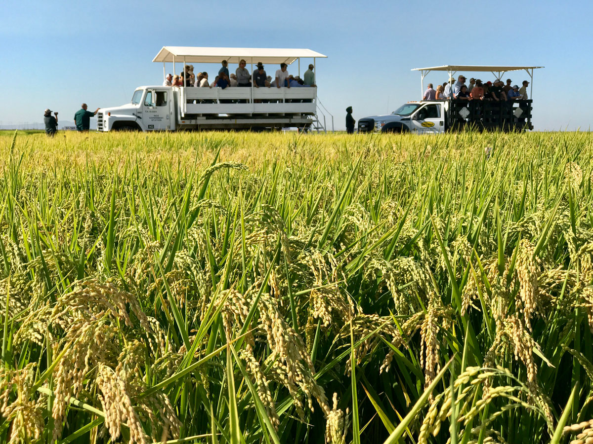 August Field Days Calendar | USA Rice Federation