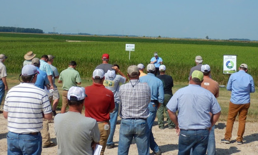 Upcoming Field Days | USA Rice Federation