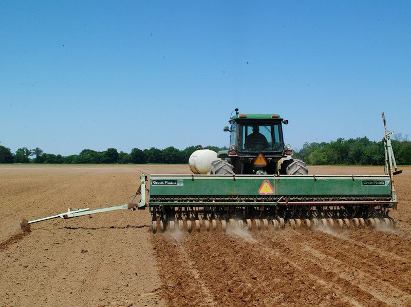 2023 Rice Crop Initial Progress Report | USA Rice Federation