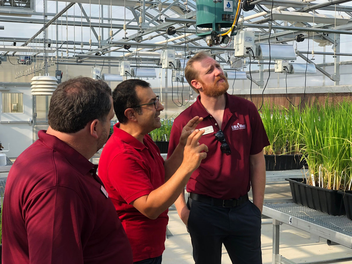 Rice Leadership Development Program Now Accepting Applications | USA Rice Federation