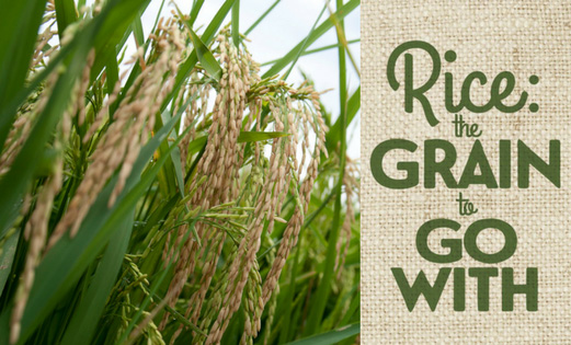 New Members Add Diverse Industry Representation to USA Rice | USA Rice ...