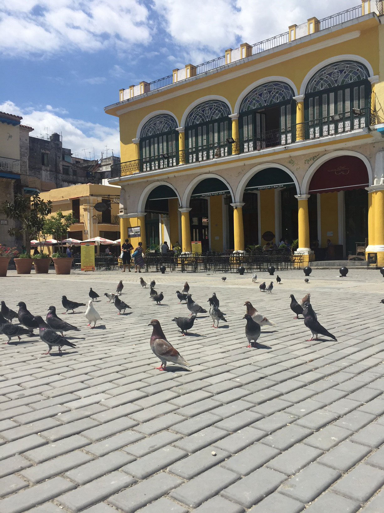 On the Ground in Cuba | USA Rice Federation
